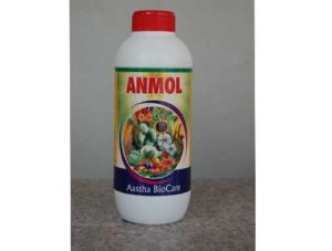 Anmol – Hybrid Seeds Producer Company in India